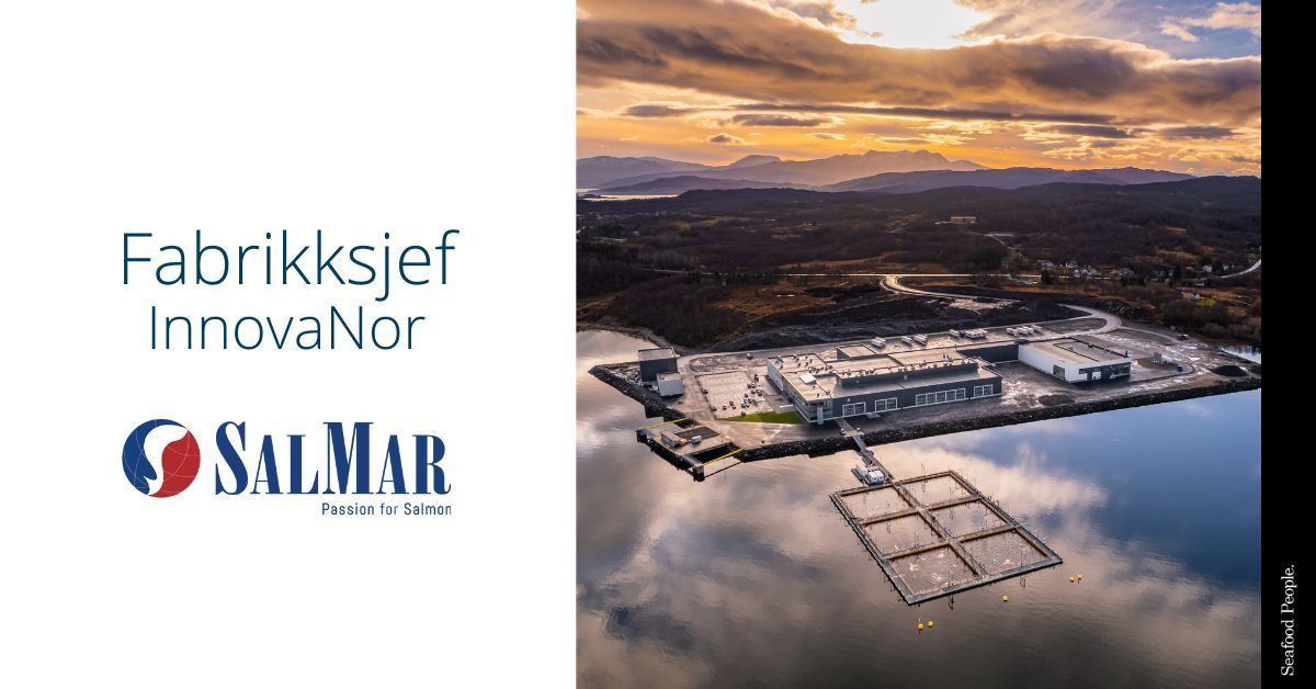 Fabrikksjef InnovaNor | Seafood People AS